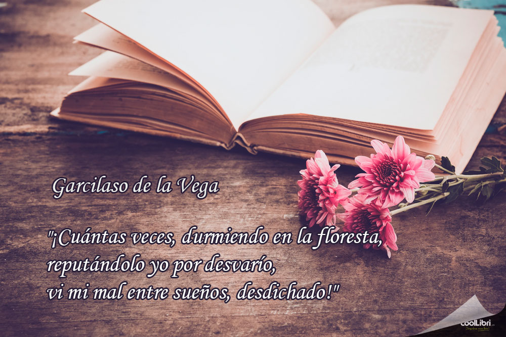 Cuáles son los tipos de versos y cómo dominarlos en tus textos